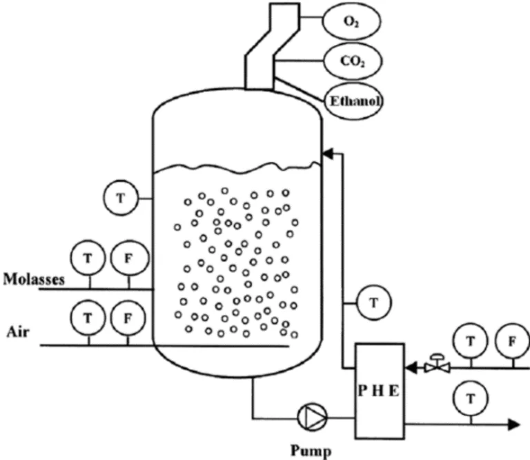 Fed Batch Fermentation: The Smart Balance of Control and Productivity ...